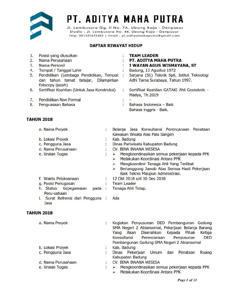 5 CV - Team Leader | PDF