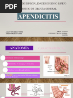 Apendicitis Aguda - Guias de Jerusalem | PDF | Especialidades Quirúrgicas | Gastroenterología