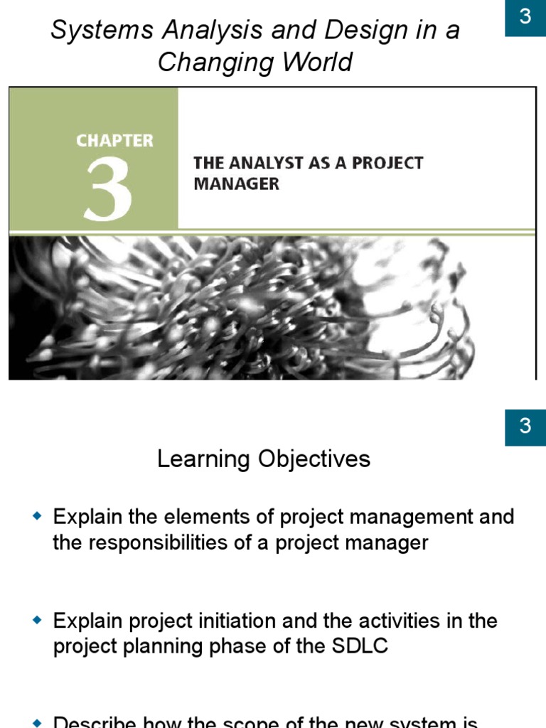 Chap03 The Analyst As A Project Manager | PDF | Project Management | Net Present Value