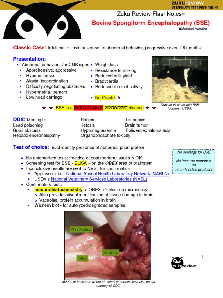 Zuku Flashnotes Bse Extended | PDF | Animals And Humans | Veterinary ...