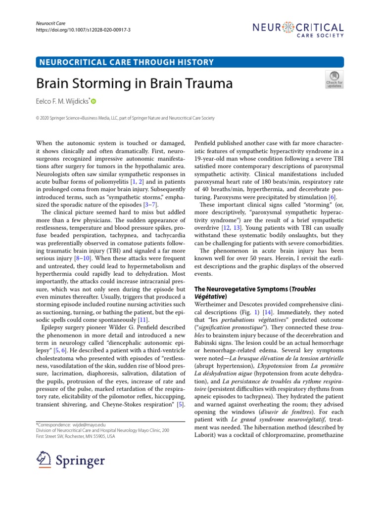 Brain Storming in Brain Trauma | PDF | Traumatic Brain Injury ...