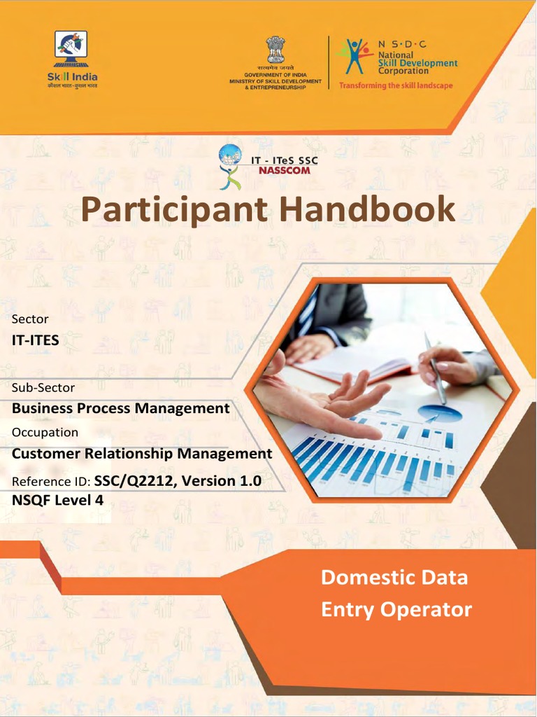 Domestic Data Entry Operator | PDF | Outsourcing | Personal Computers