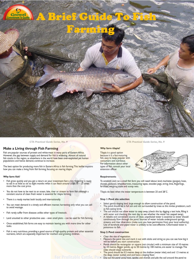 A Brief Guide To Fish Farming | PDF | Pond | Water