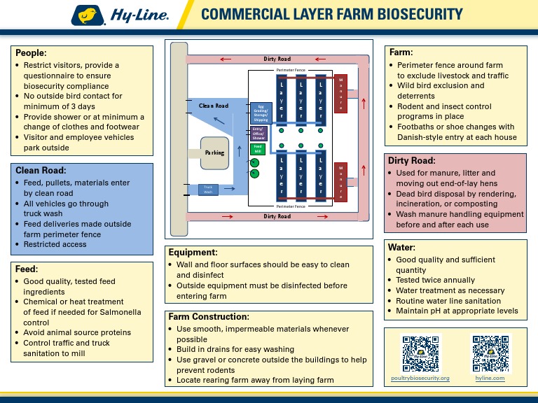 Poultry Biosecurity | PDF | Chicken | Manure