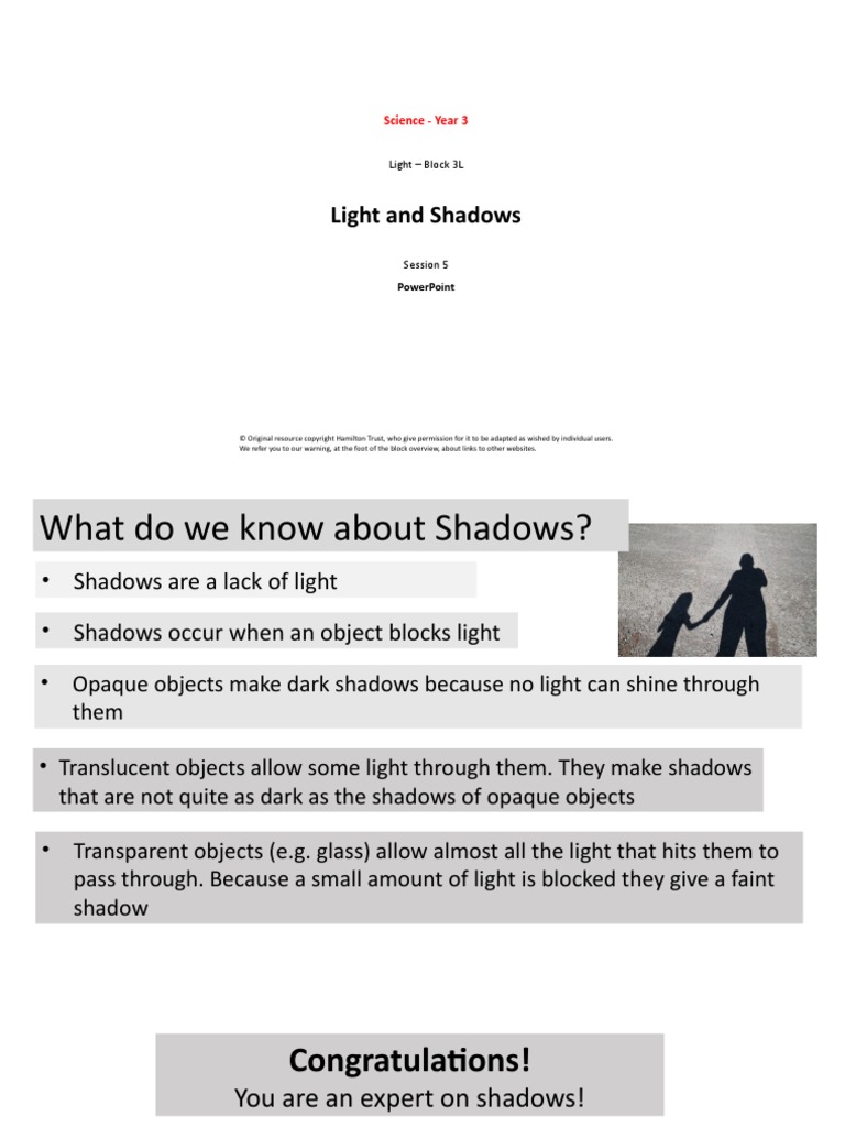 Light and Shadows: Science - Year 3 | PDF | Shadow | Puppets