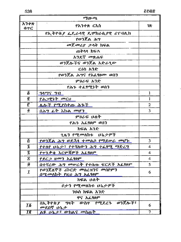 New Criminal Code (Amharic) | PDF