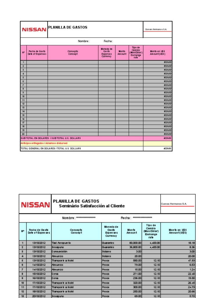 Viatico FORMATO | PDF