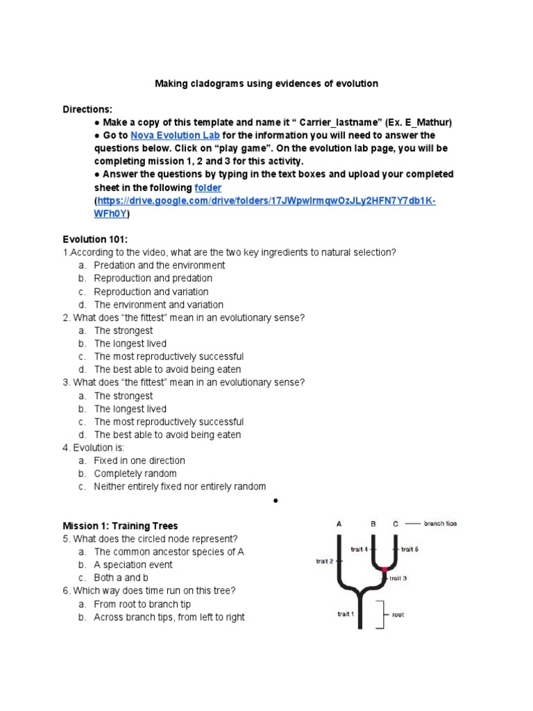 8-Template - Cladograms Using Evidences of Evolution | PDF | Evolution ...