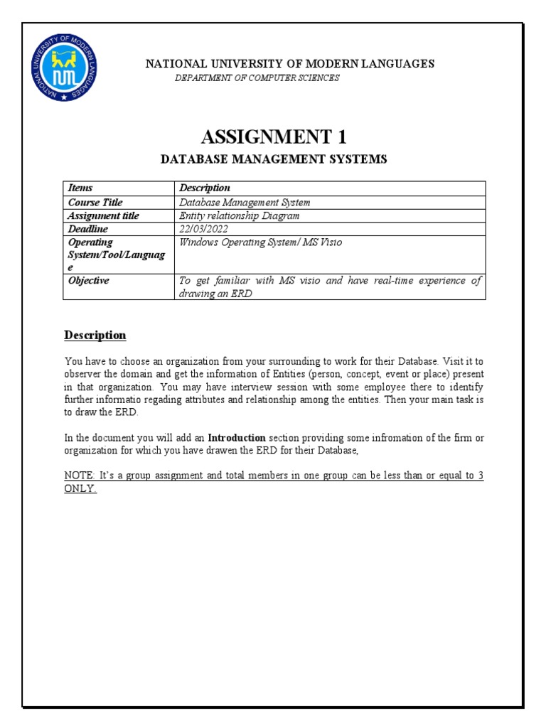 ERD Assignment for Database Systems | PDF | Art | Computers
