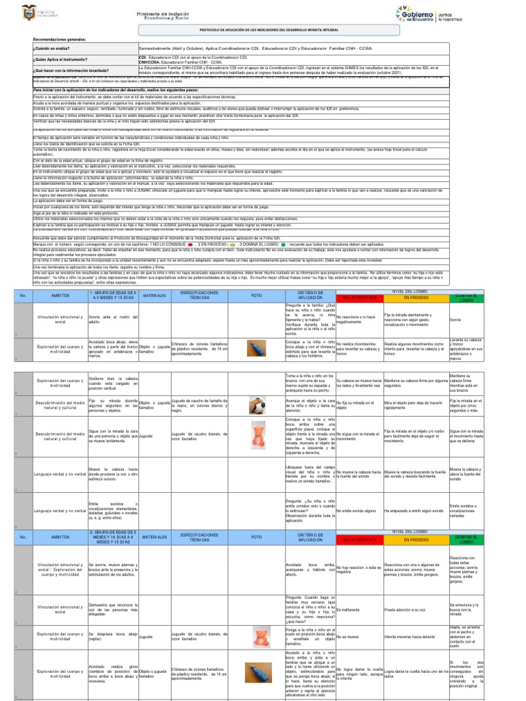 Protocolo Aplicación Idii 2021 Final pdf-1 | PDF | Juguetes | La risa
