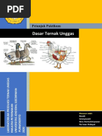 Panduan Lengkap Anatomi Ayam | PDF