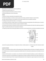 Fracturas de rótula: diagnóstico y tratamiento | PDF | Rodilla ...