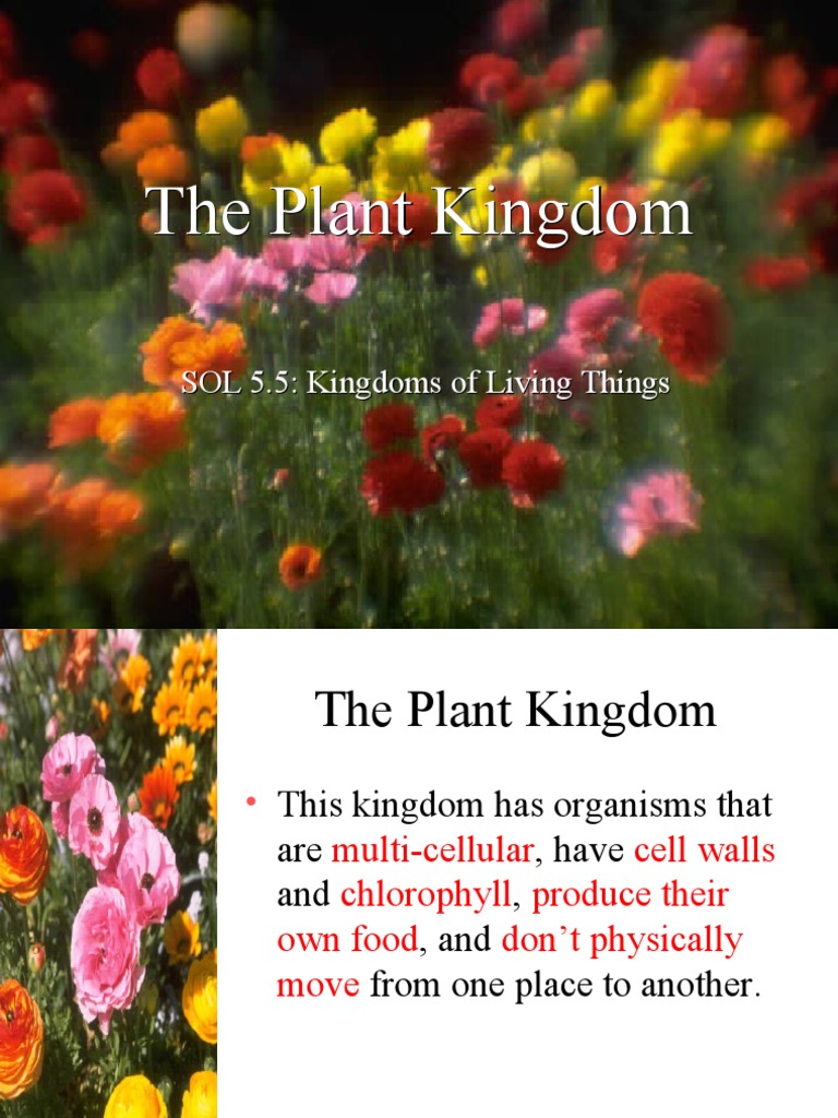 An Overview of the Plant Kingdom: Classification, Structure, and ...