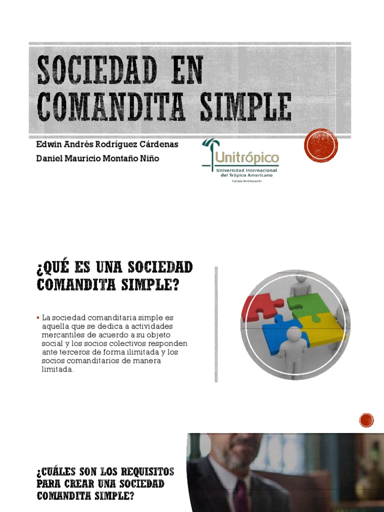 Sociedad en Comandita Simple | PDF | Sociedad de responsabilidad limitada | Economias