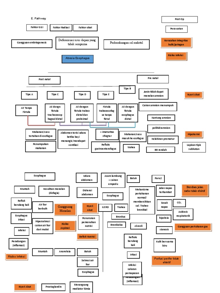 Pathway Atresia Esofagus pada Bayi | PDF