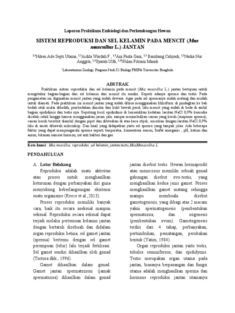 Reproduksi Mencit Jantan | PDF