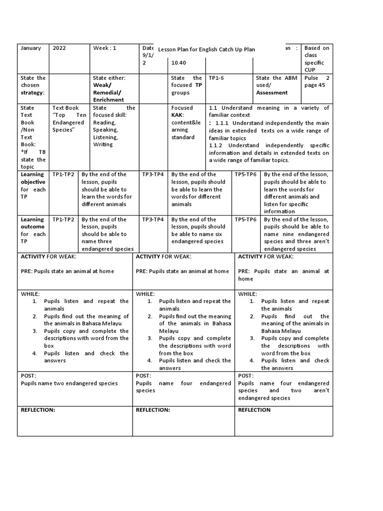 LESSON PLAN TEMPLATE FOR ENGLISH Catch Up Plan | PDF | Lesson Plan ...