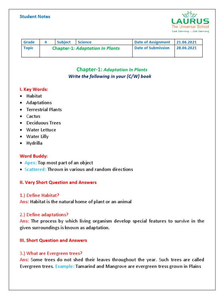 Plant Adaptations for Grade 4 Science | PDF | Plants | Trees