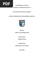 Cuencas Hidrograficas y Cuenca Exorreica | PDF | Cuenca de drenaje | Río