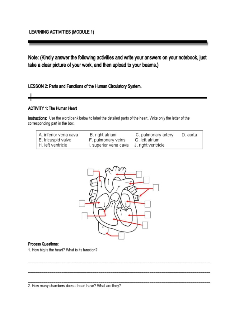 LESSON 2 - Science 9 (Module 1-Activities) | PDF | Heart | Atrium (Heart)