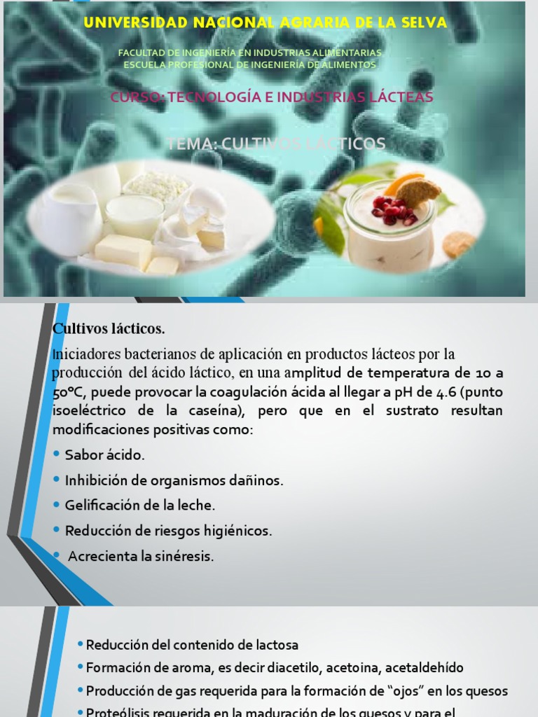 Cultivos Lácticos | PDF | Yogur | Productos lácteos