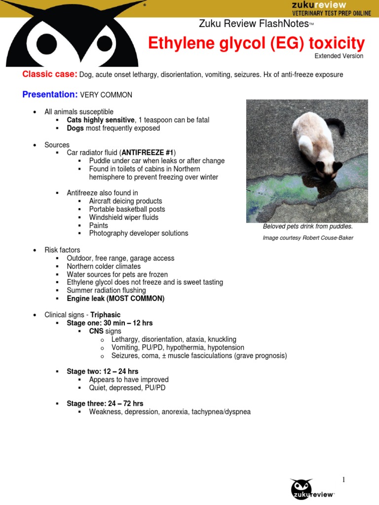 Zuku Visual Flashnotes Ethylene Glycol Extended | PDF | Clinical ...
