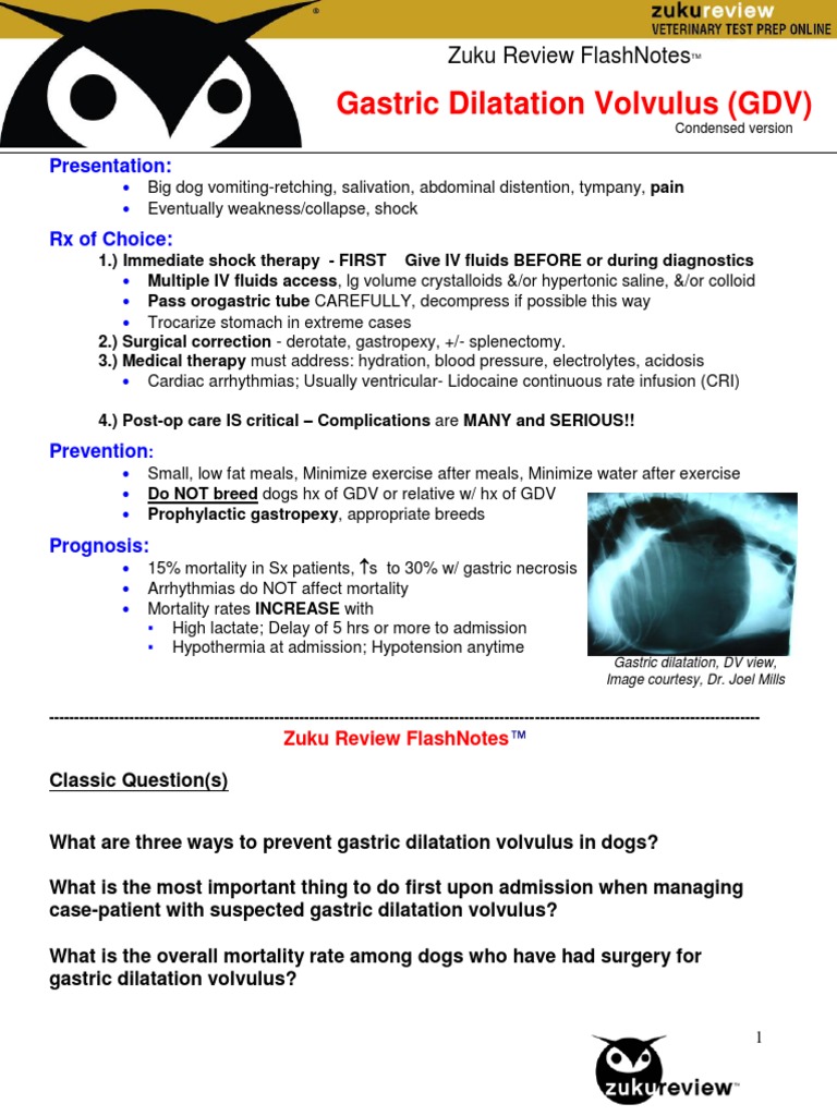 Zuku Visual Flashnotes GDV Condensed | PDF | Health Sciences | Physiology
