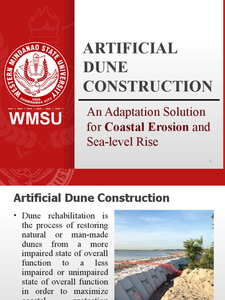 WMSU Powerpoint Template | PDF | Dune | Beach