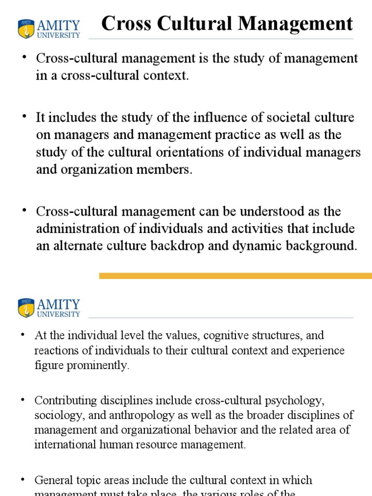 Cross Cultural Management | PDF