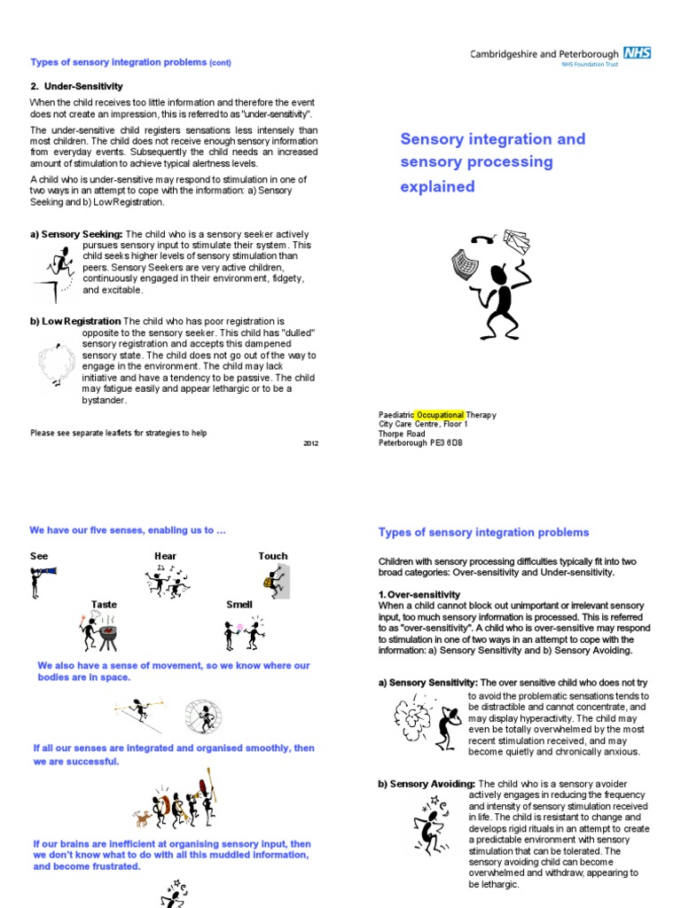 Auditory Sensory Seeking in Children | PDF | Senses | Somatosensory System
