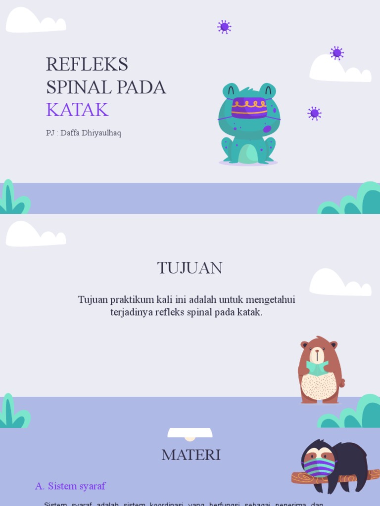 Refleks Spinal Pada Katak | PDF