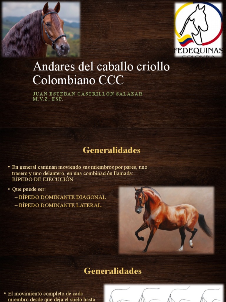 Andares Del Caballo Criollo Colombiano CCC | PDF | Caballos | Bipedalismo