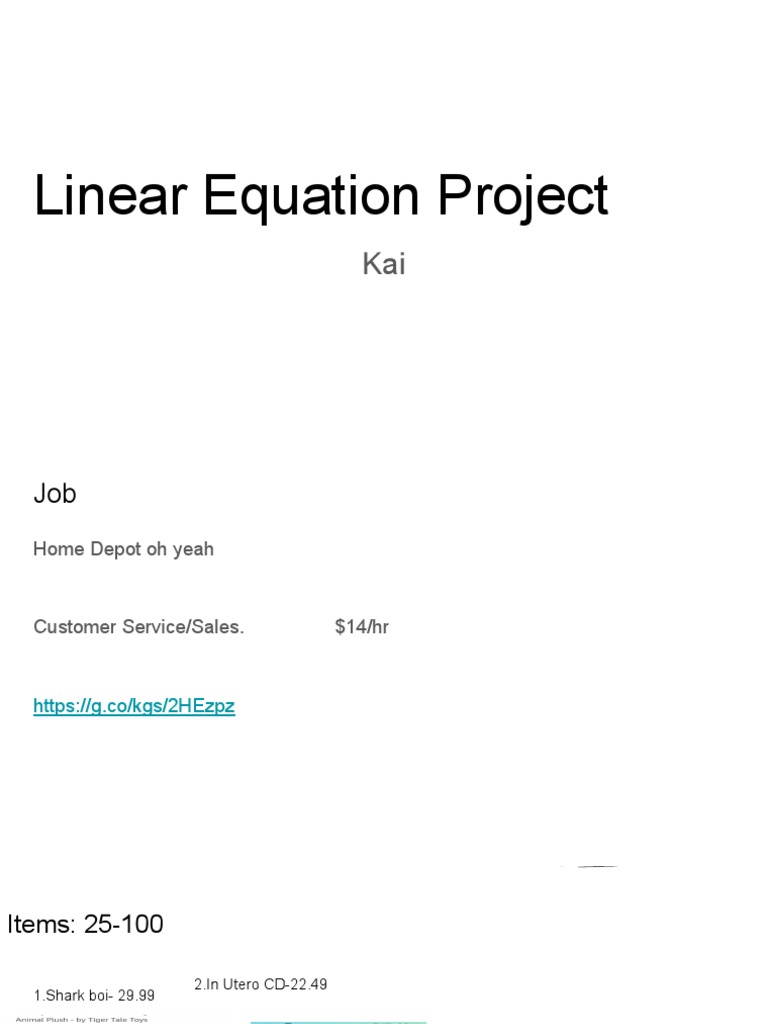 Linear Equation Project | PDF