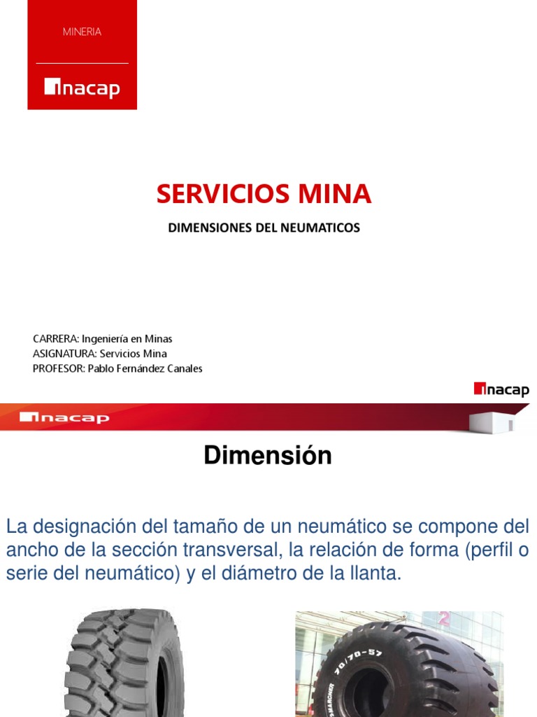 Dimensiones y Tipos de Neumáticos | PDF