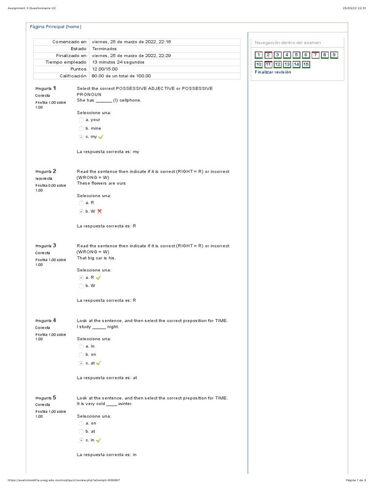 Assignment 3 Questionnaire U2 | PDF