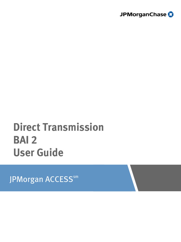 JPM Access Bai2 Userguide | PDF | Debits And Credits | File Format