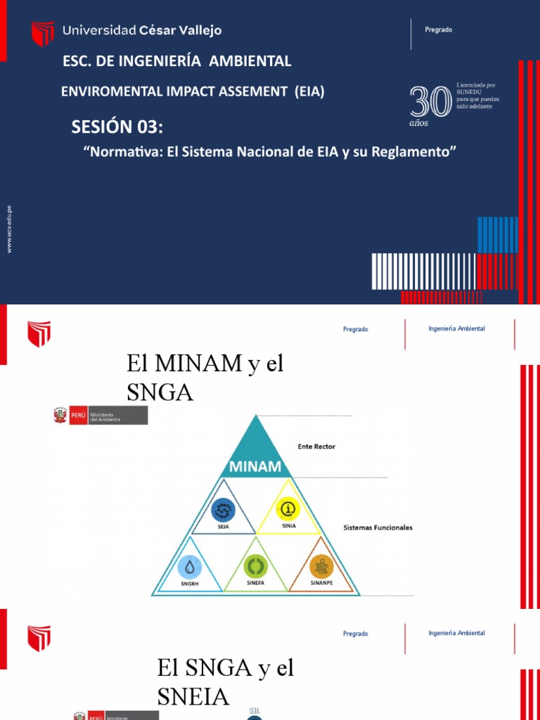 Ley y Reglamento Del SEIA | PDF