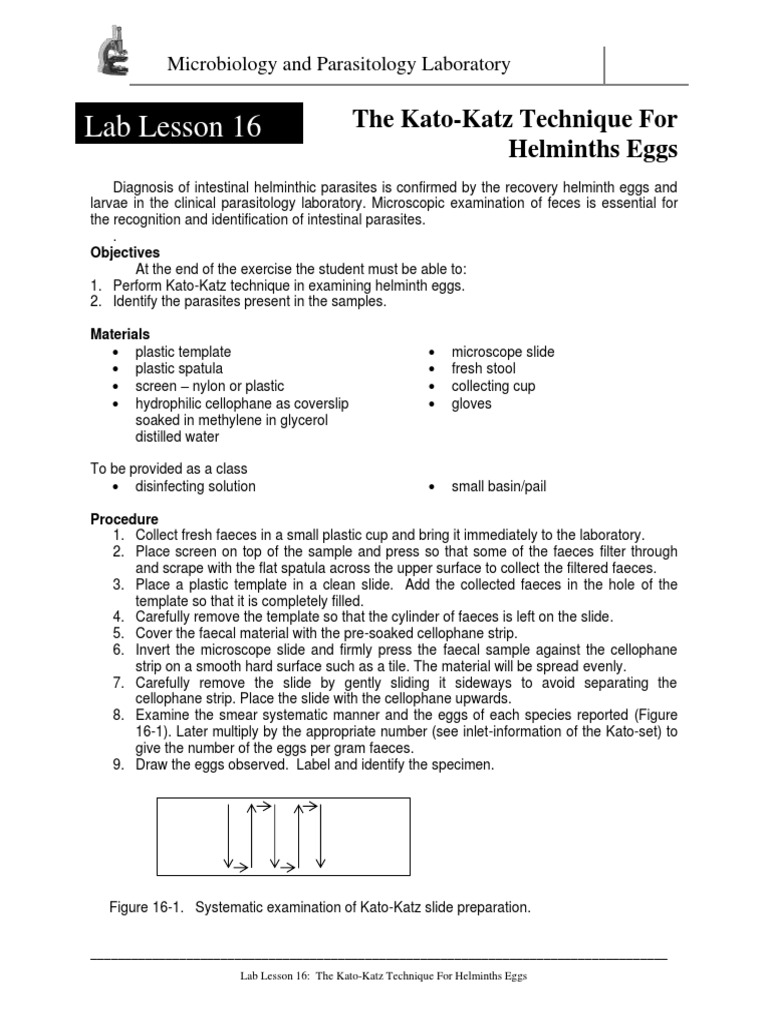 Kato-Katz Technique for Helminth Eggs | PDF | Parasitology | Microbiology