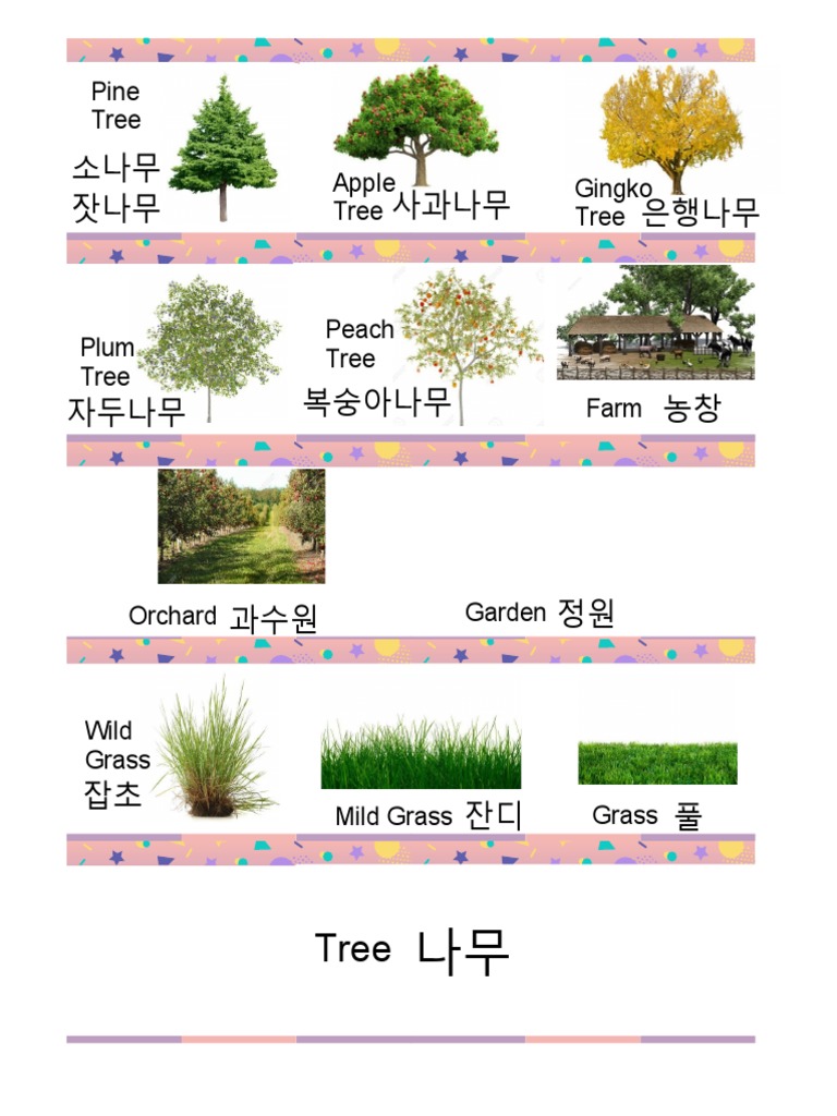 Trees Names in Korean | PDF