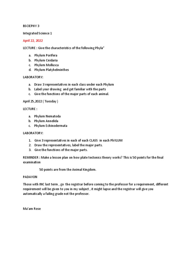 Activity Animal Kingdom | PDF