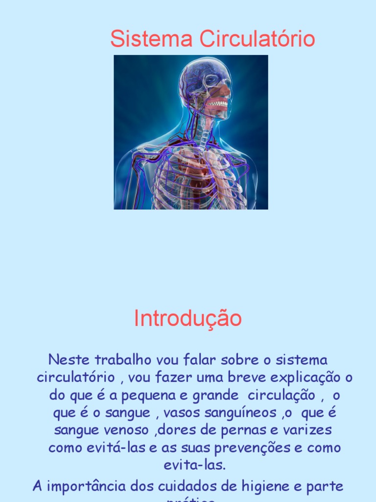 Sistema Circulatório | PDF | Sistema circulatório | Coração