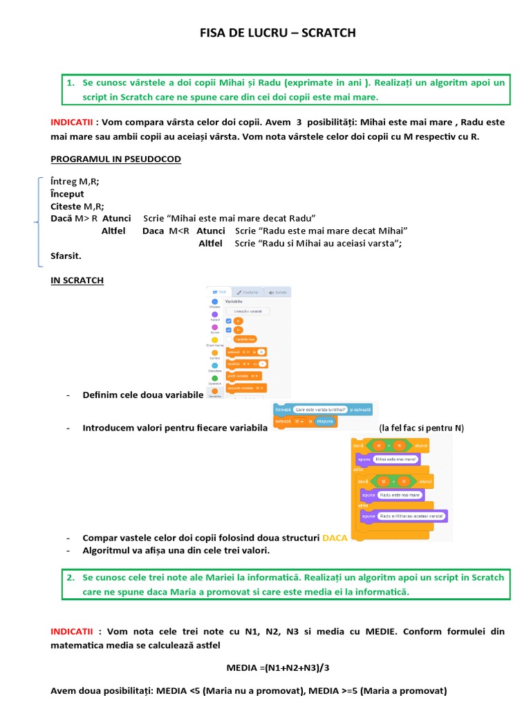 Fisa de Lucru Scratch | PDF