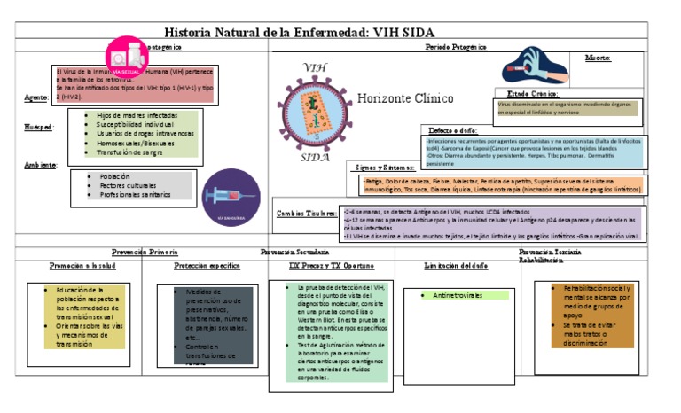 Historia Natural del VIH SIDA: Etapas, Transmisión y Prevención | PDF ...