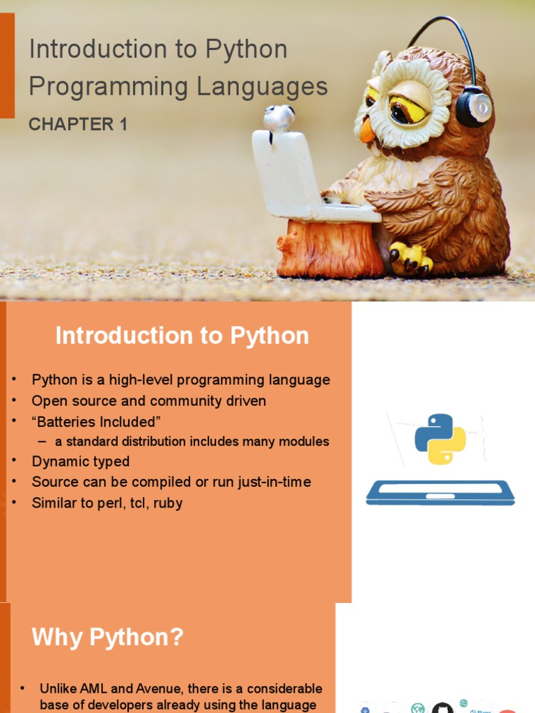 Chapter 1 Introduction To Python Pdf Python Programming Language 