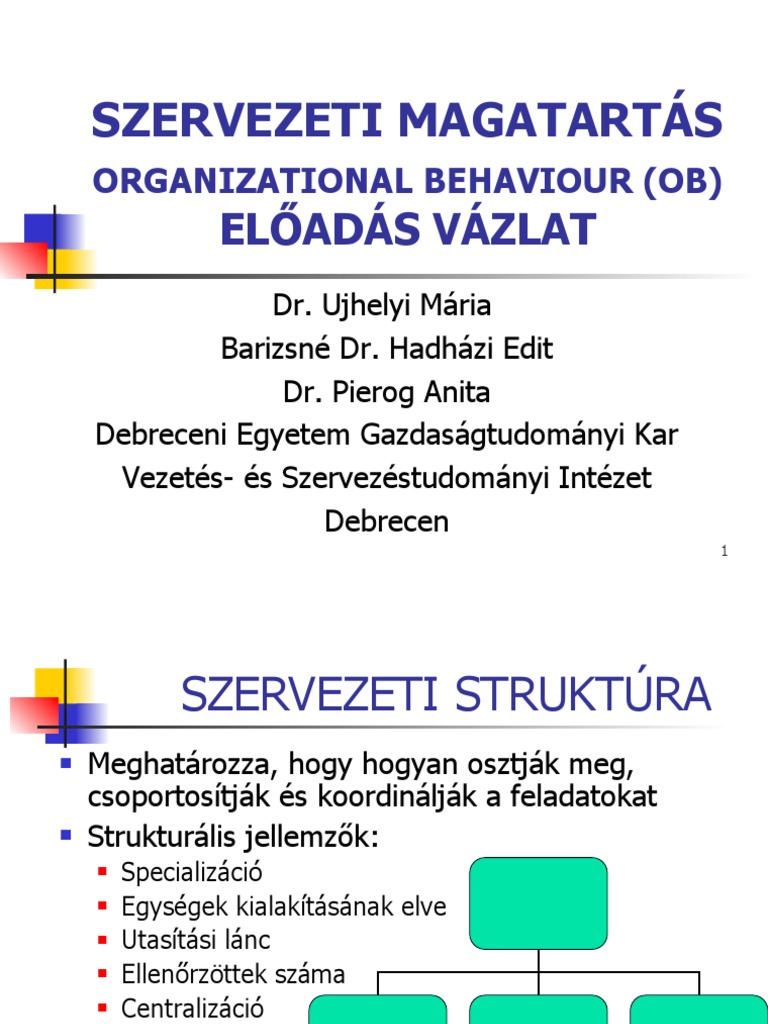 Szerv. Struktúra | PDF