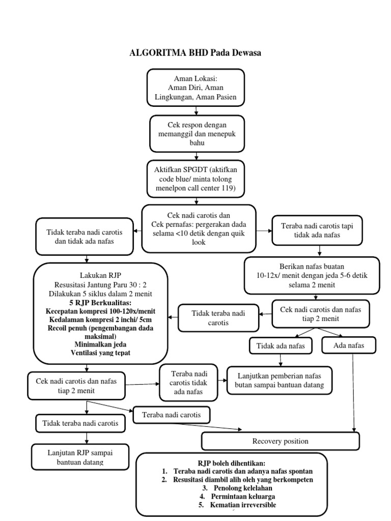 ALGORITMA BHD Pada Dewasa | PDF