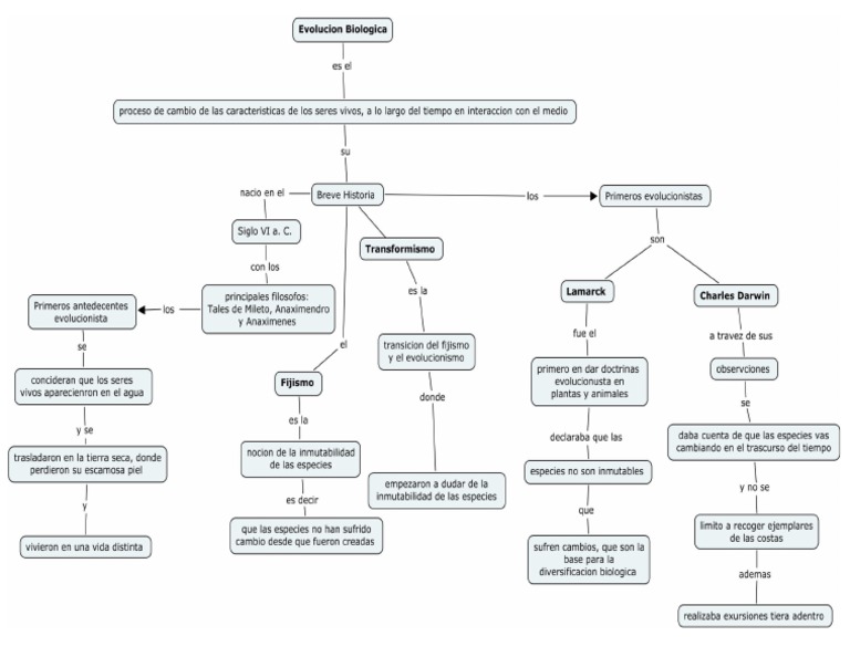 Mapa Conceptual Evolucion Biologica | PDF