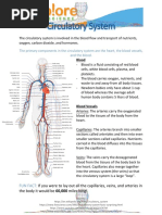 Blood and Circulation, iGCSE Biology | PDF | Circulatory System ...