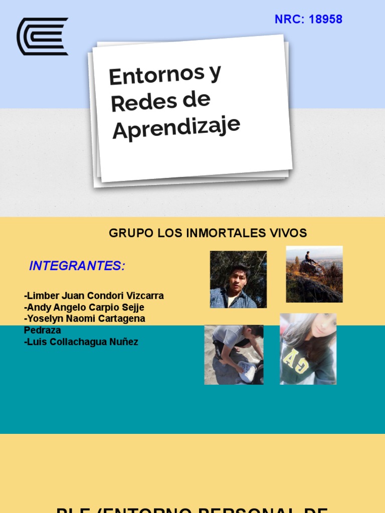 Consolidado I, Ple PLN Sle Oficial | PDF | Aprendizaje | Servicio de ...