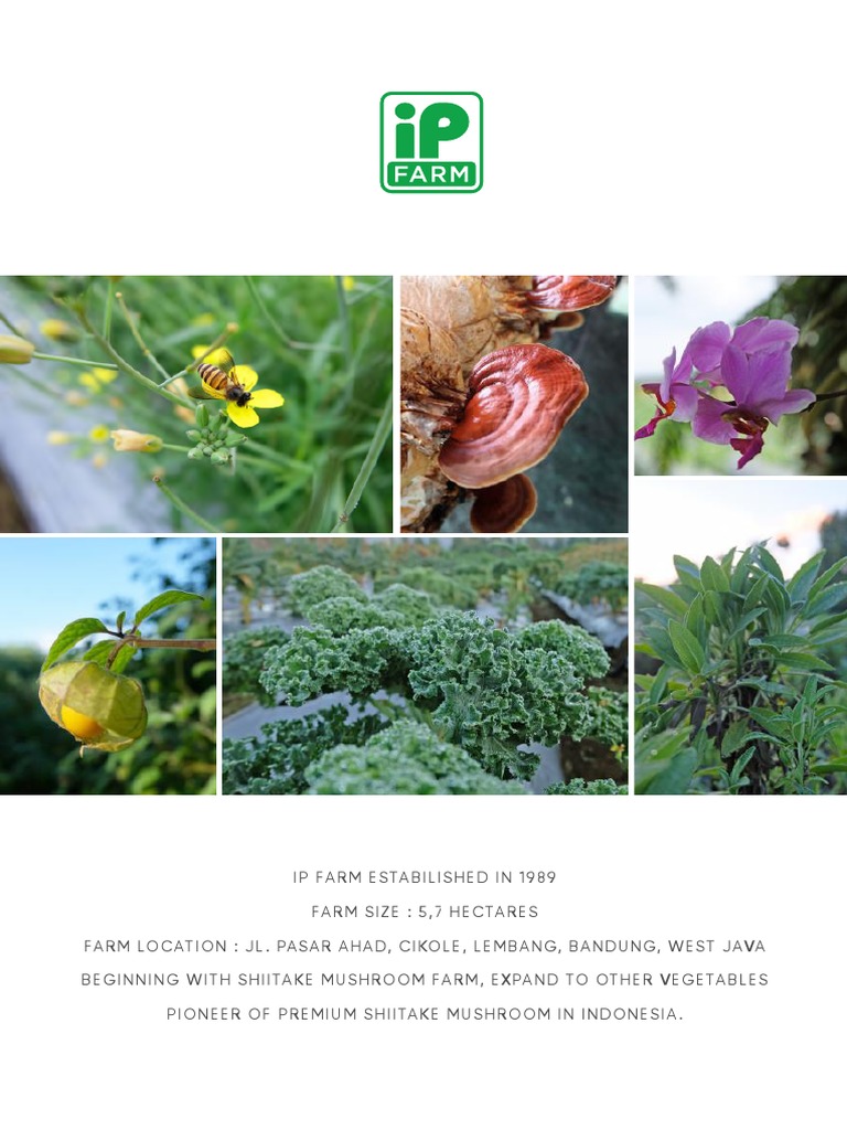 Premium Jamur dan Sayuran Segar | PDF